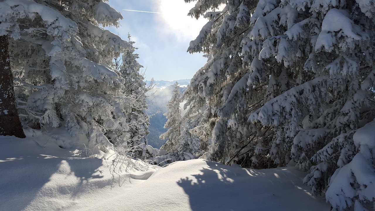 6 Activities to Spice Up Your Winter Break – Maroon